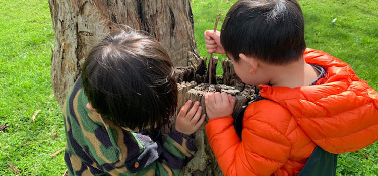 Edrington Park Childcare Centre and Kindergarten - Bush Kinder